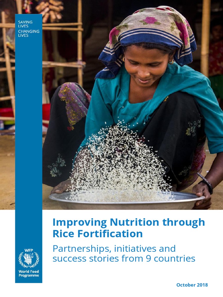 Rice Fortification Success Stories in 9 Countries PDF | PDF ...