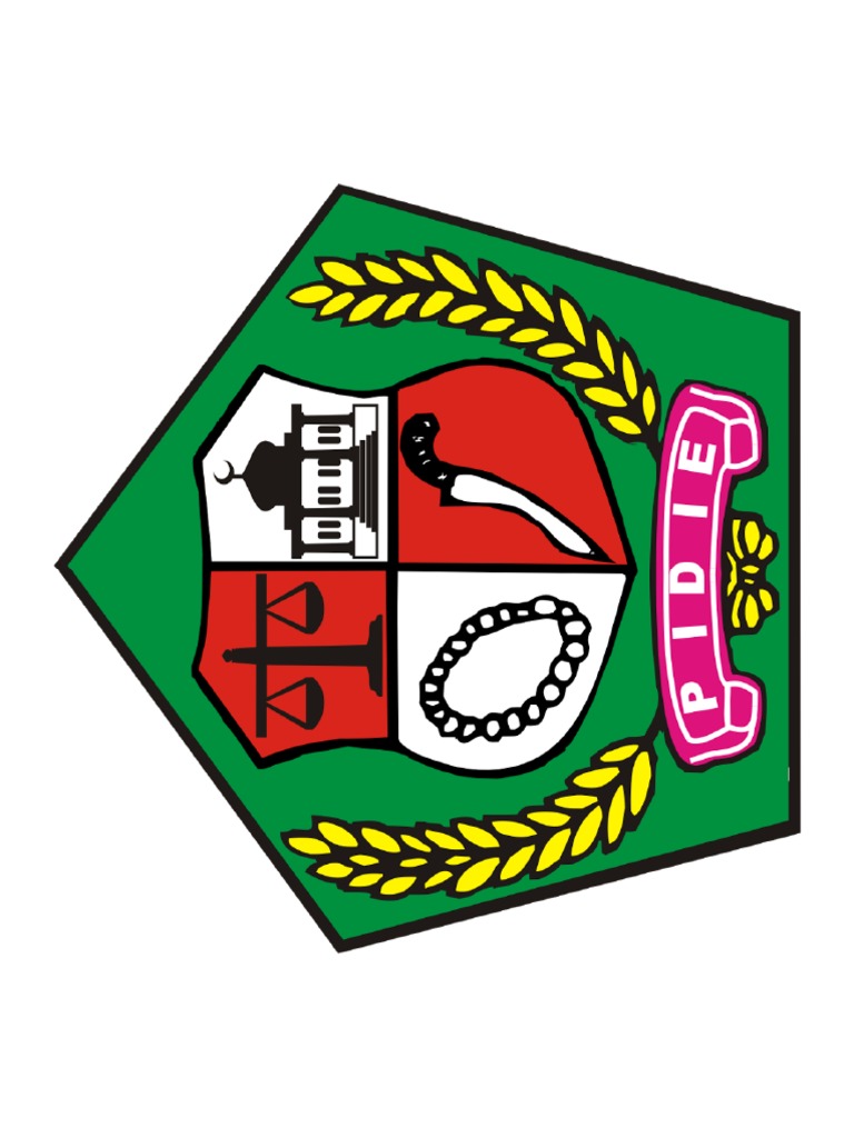 Kabupaten Pidie Vector Logo | PDF