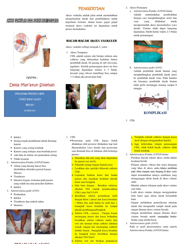 Akses Vaskular untuk Hemodialisis | PDF