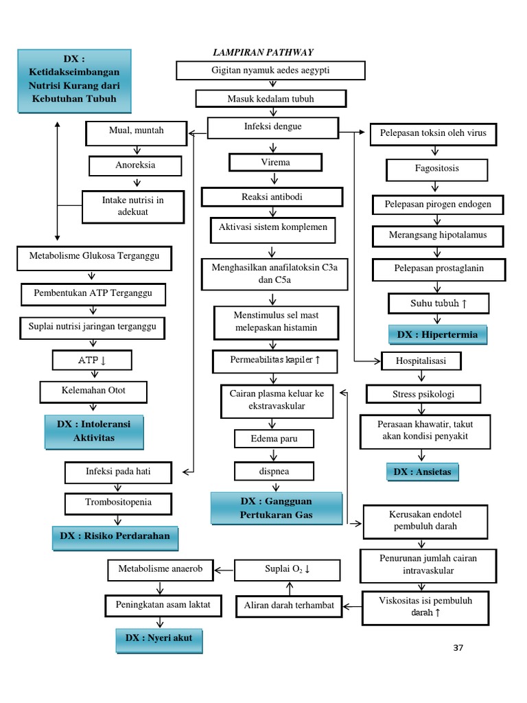 Pathway DBD Fixx | PDF