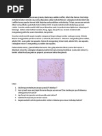 Modul Materi Pemeriksaan LCS | PDF