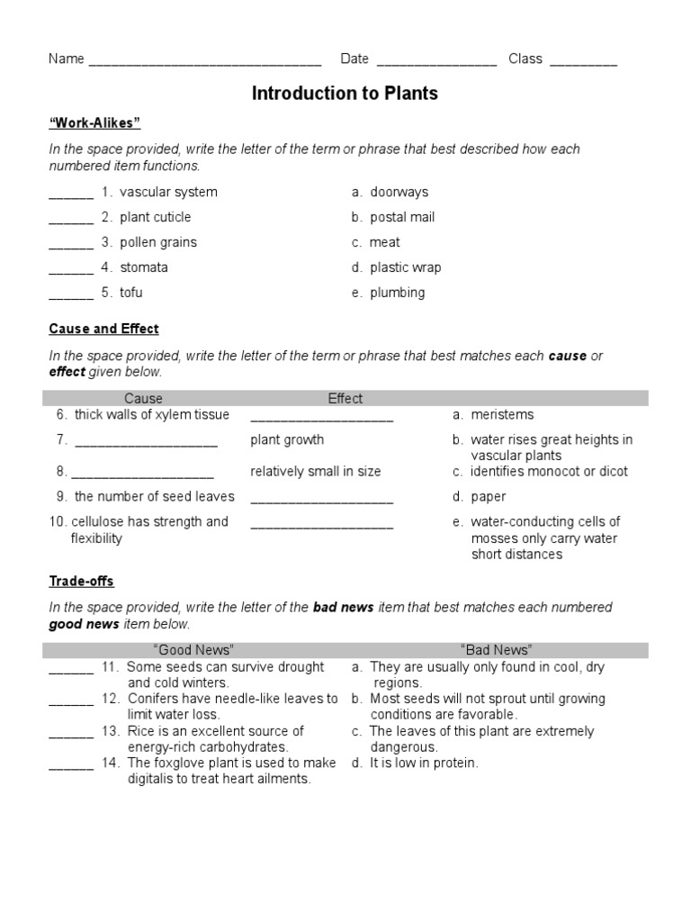 Introduction To Plant Structure and Function Worksheets | PDF | Plants ...