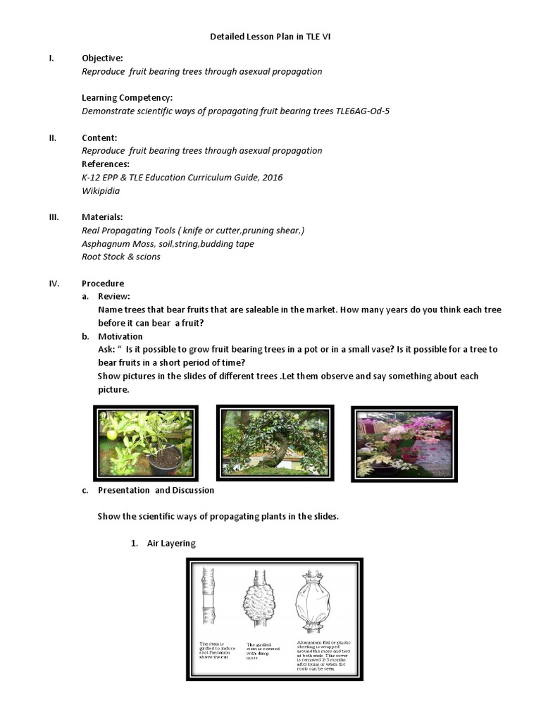 Detailed Lesson Plan in TLE VI | PDF | Grafting | Landscape