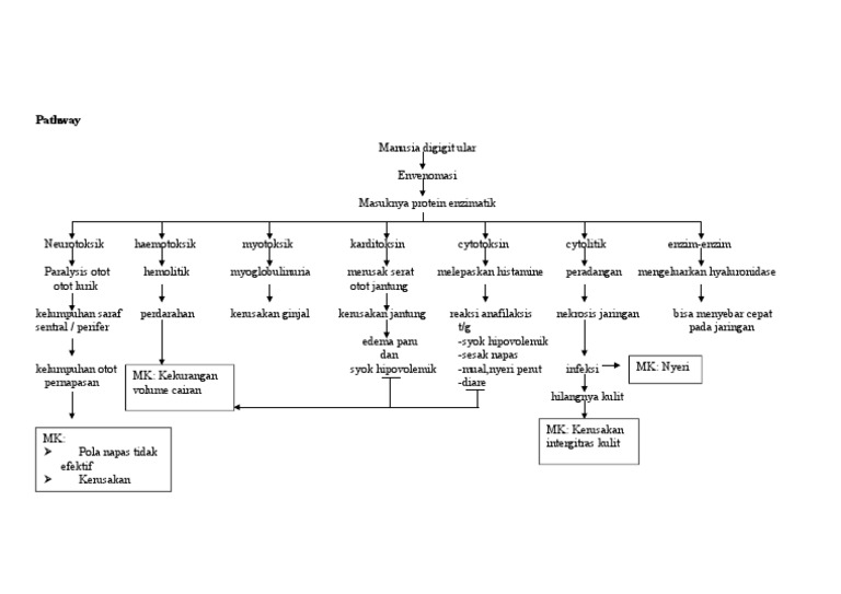 Pathway Gigitan Ular | PDF
