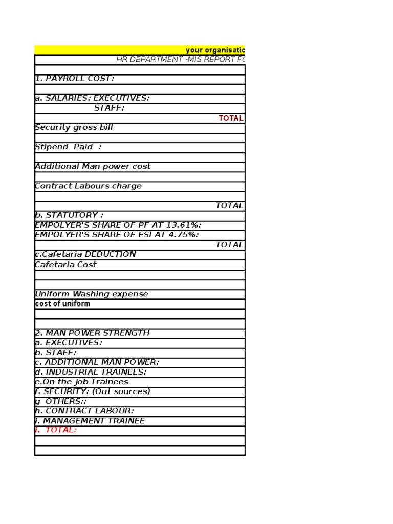 HR Monthly MIS Report - 2008 | PDF