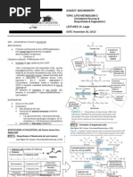 Carbohydrate Metabolism Notes - Diagrams & Illustrations - Osmosis ...