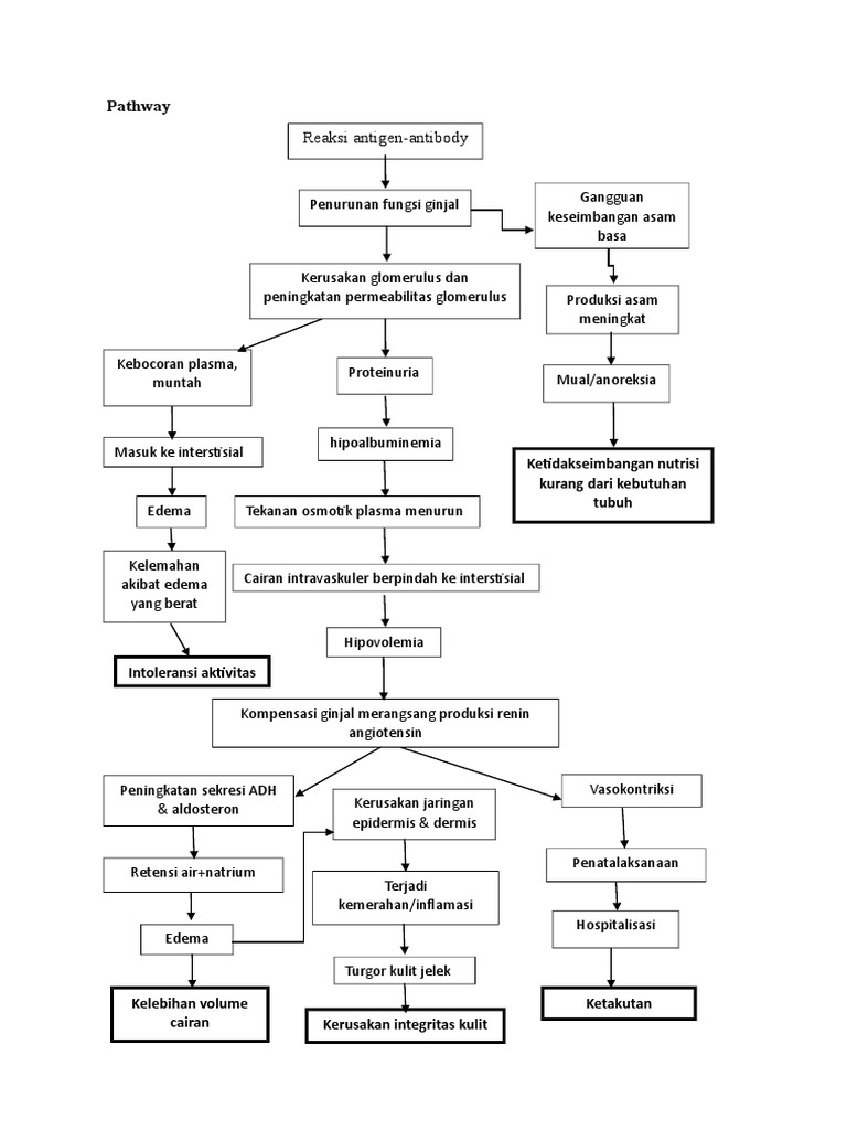 Pathway Nefrotik Sindrom | PDF