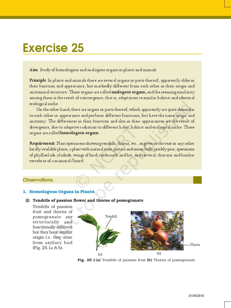 Homologous and Analogous Plant Organs | PDF