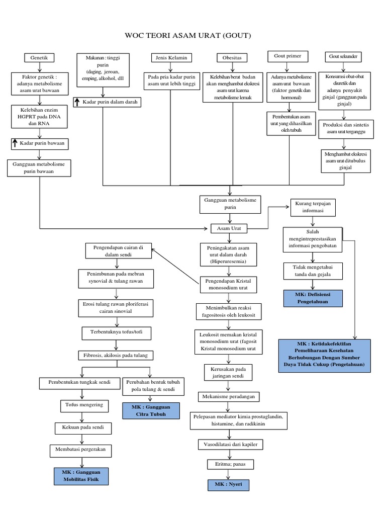Woc Pathway Asam Urat | PDF