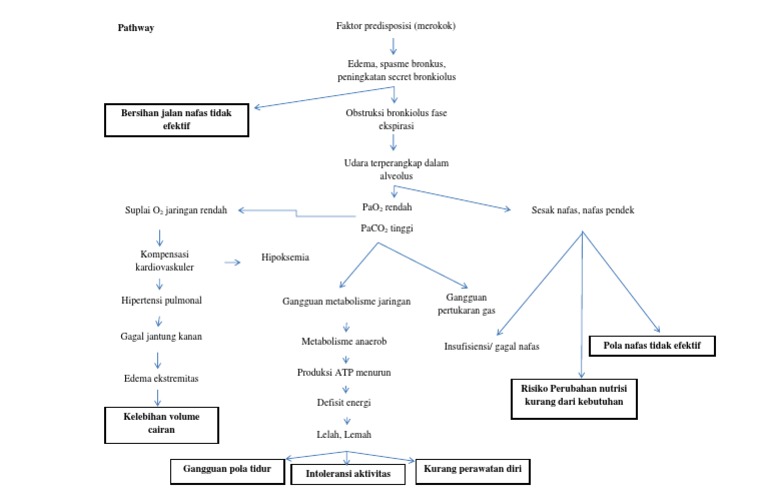 Pathway PPOK | PDF