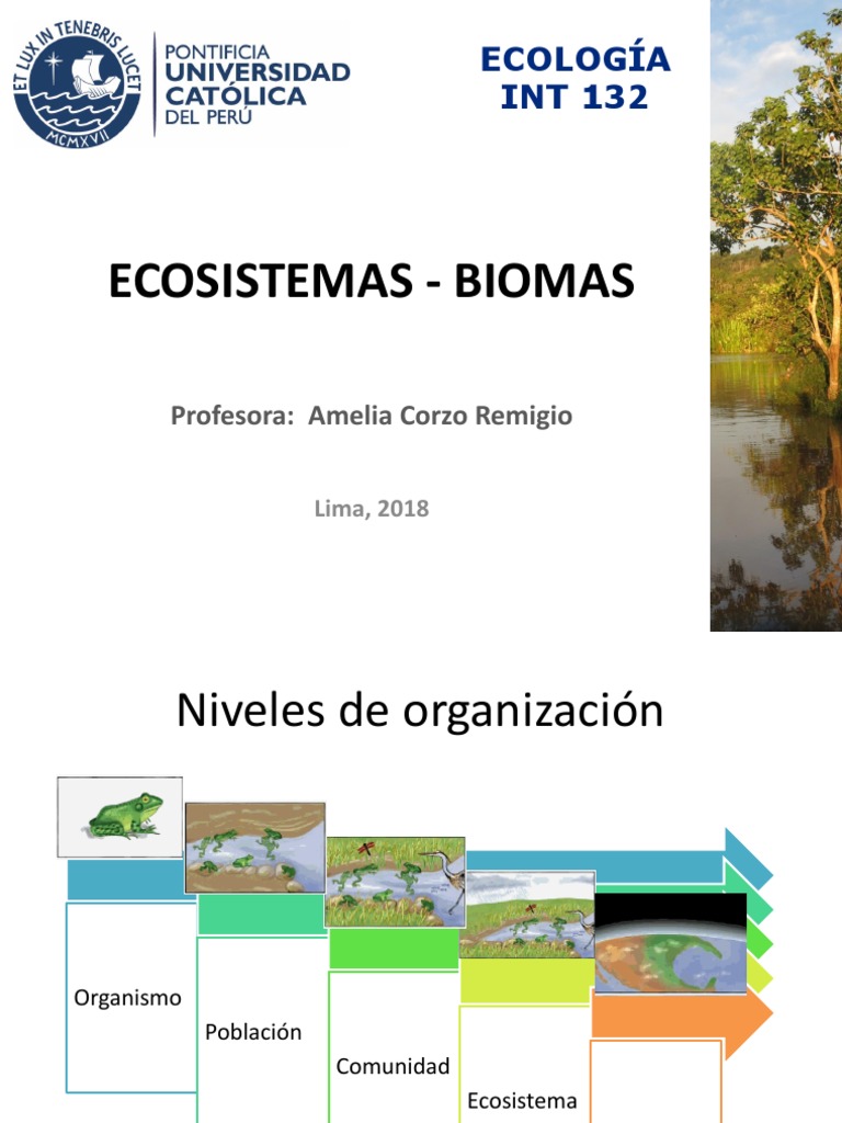 Ecología: Ecosistemas-Biomas | PDF | Ecosistema | Clima