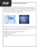 Respiratory Assessment Checklist | PDF | Lung | Thorax