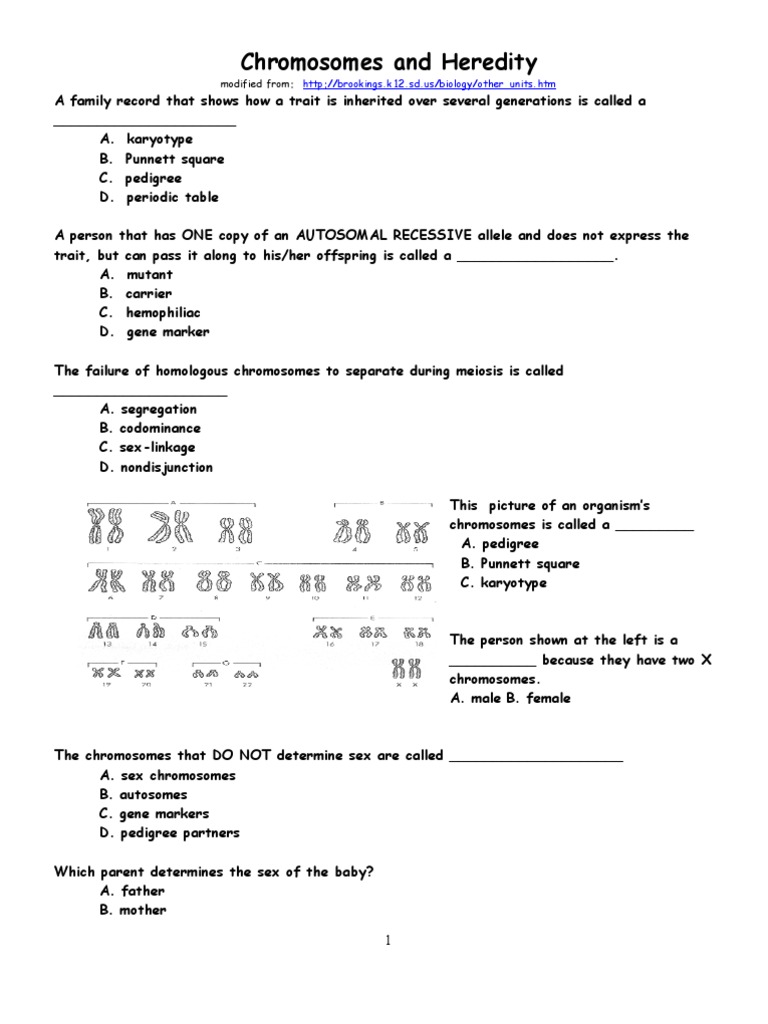 Chromosomes and Heredity Review | PDF | Genetic Disorder | Dominance ...