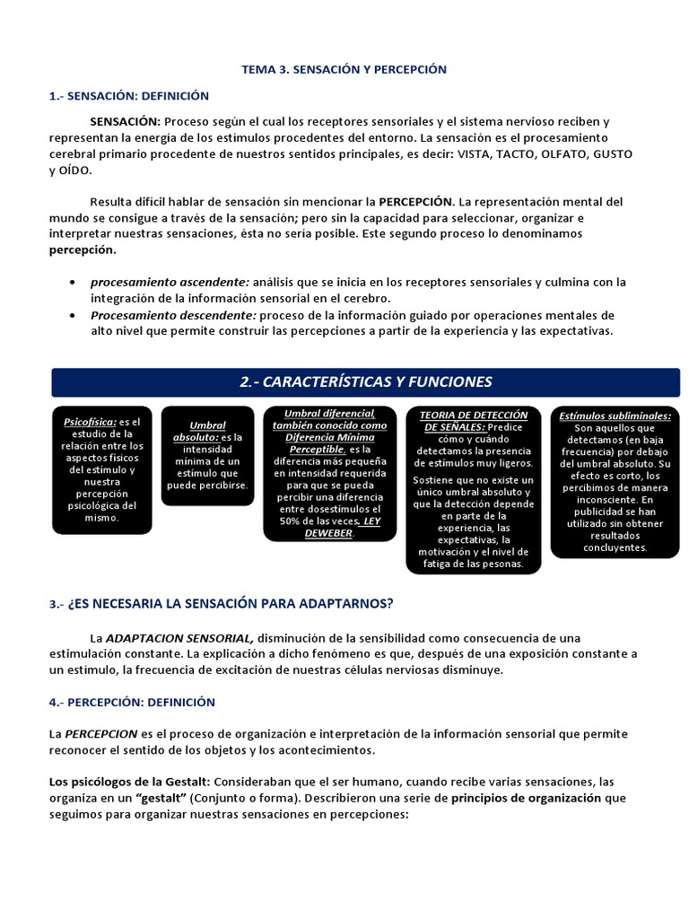 Tema 3 | PDF | Percepción | Experiencia subjetiva