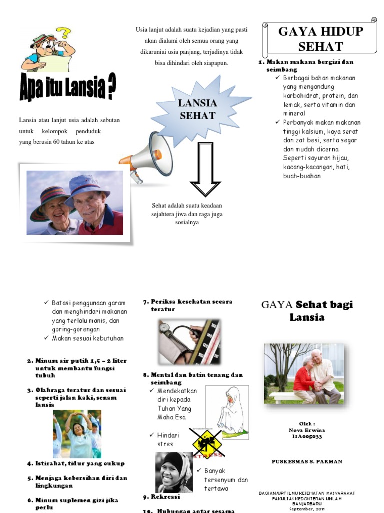 Leaflet Lansia | PDF