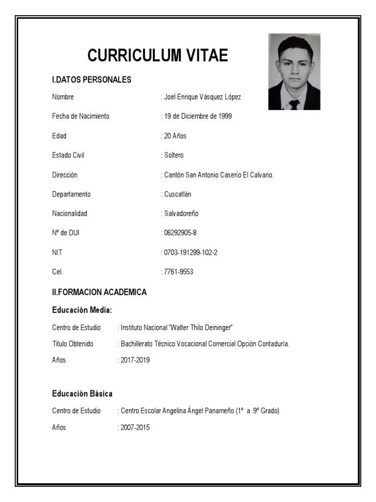 Curriculum Joel | PDF