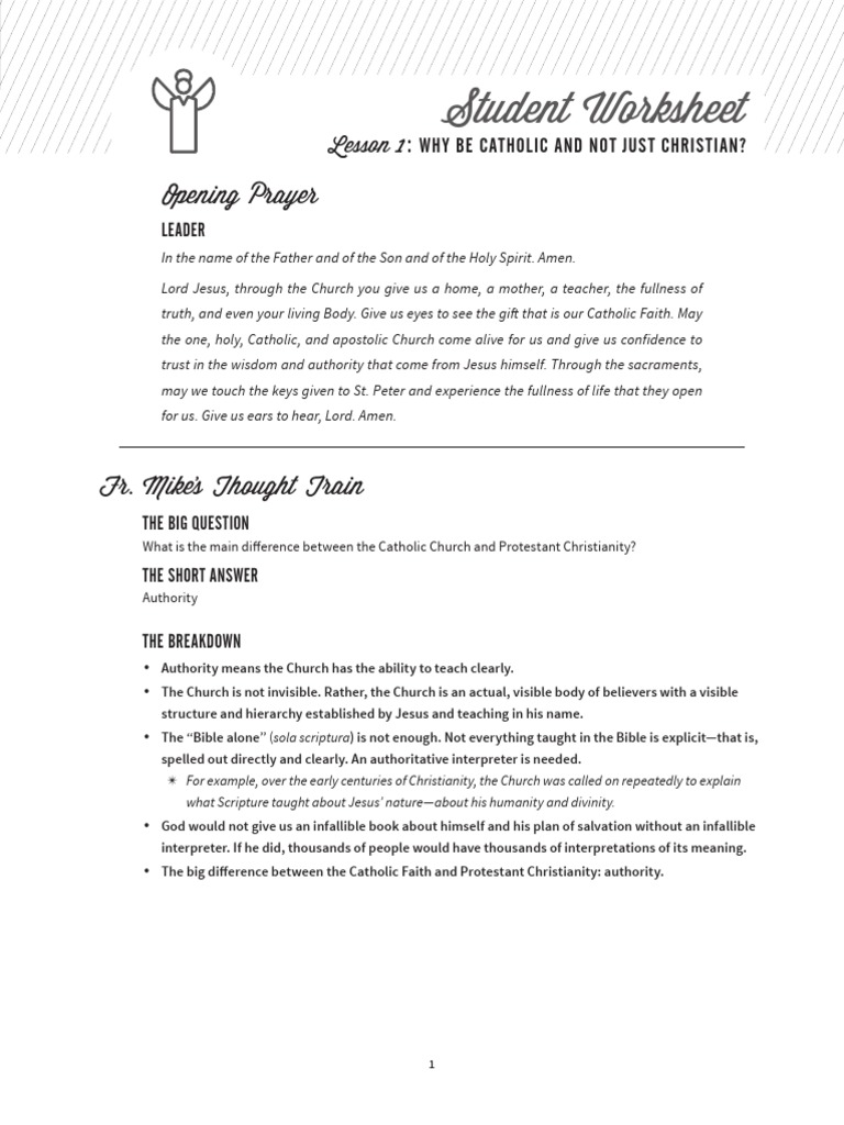 Why Be Catholic and Not Just Christian Lesson Plan FR Mike Schmitz ...