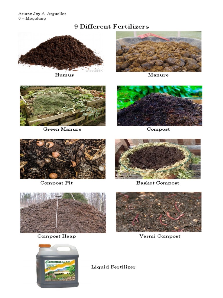 9 Different Fertilizers | PDF