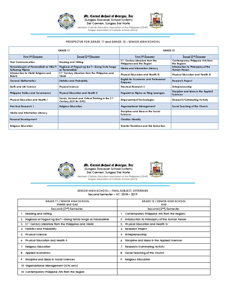 Prospectus For SHS and JHS | PDF | Social Science | Literacy