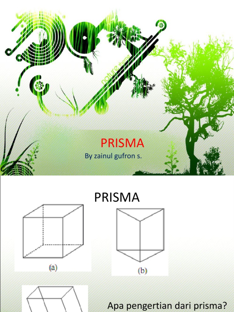 Prisma | PDF