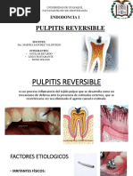 Diagnostico Pulpar y Periapical | PDF | Dolor | Inflamación