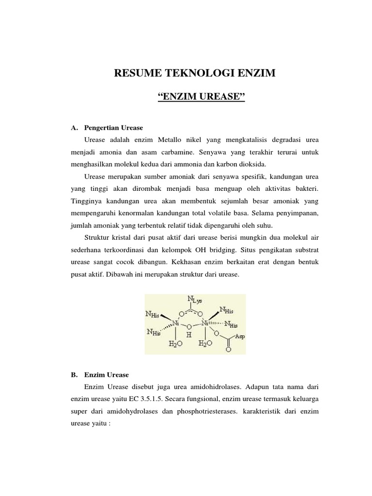 RESUME MATA KULIAH TEKNOLOGI ENZIM Urease | PDF
