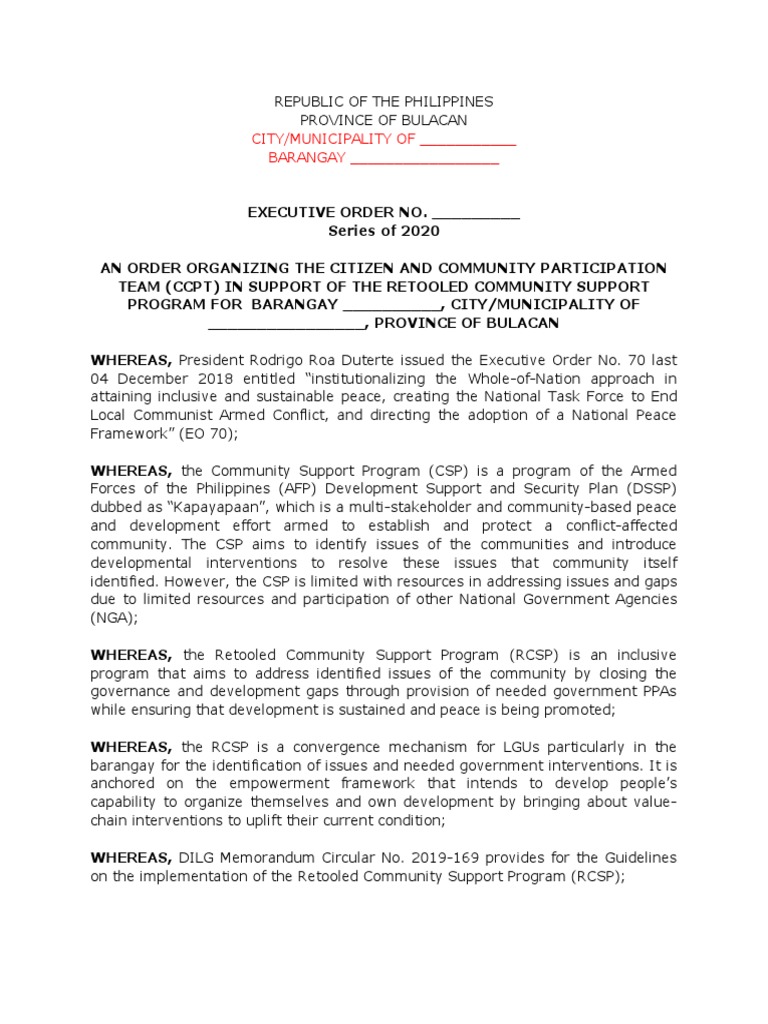 C. RCSP Team Barangay Level Template | PDF | Public Sphere | Government