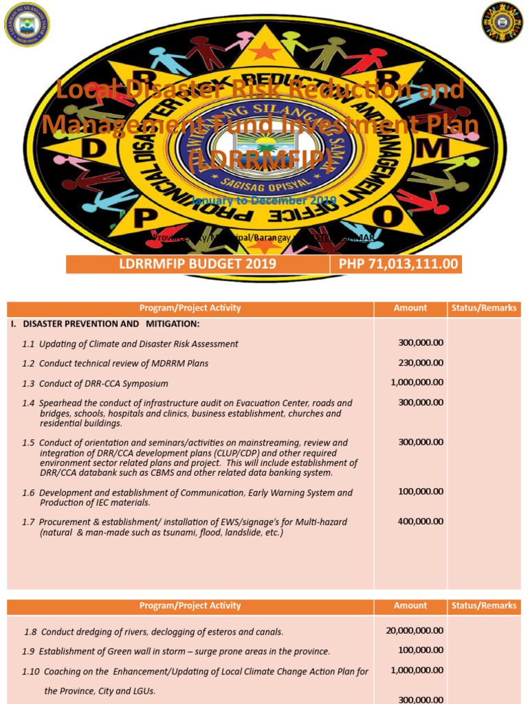 Ldrrmfip 2019 | PDF | Disaster Risk Reduction | Emergency Management