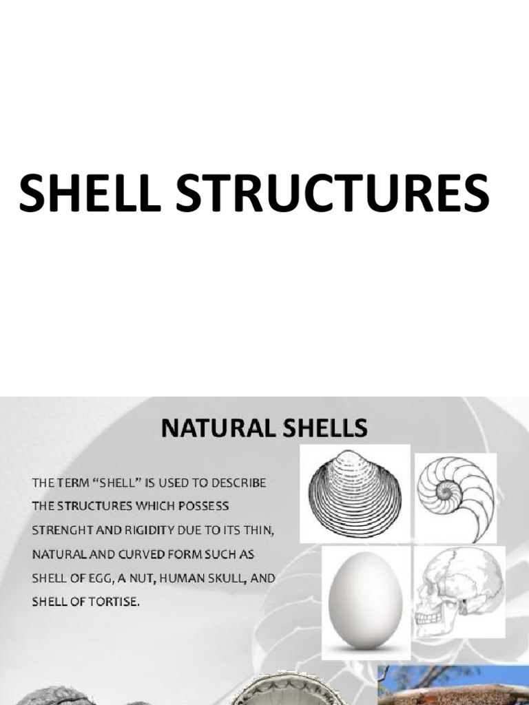 Shell Roofs | PDF | Building Engineering | Materials