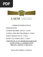 Formato para El Pesaje de Residuos Sólidos Convencionales | PDF | Papel ...