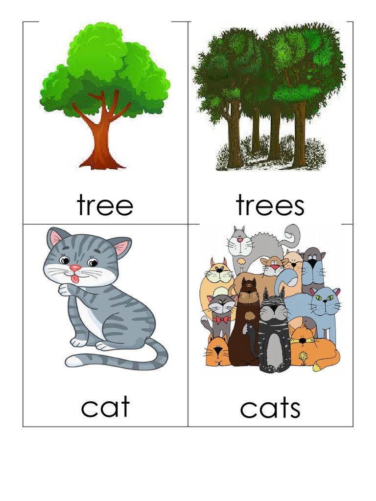 Memory Card Game Singular and Plural | PDF