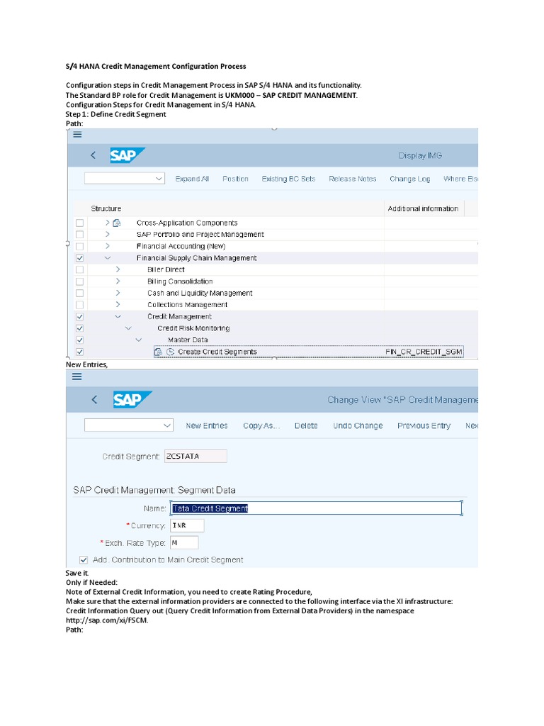 SAP FSCM - Note | PDF | Credit Risk | Sap Se