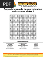 Sopa de Letras de Importancia de La Biodiversidad | PDF