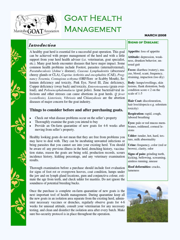 Goat Health Management | PDF | Goat | Medical Specialties
