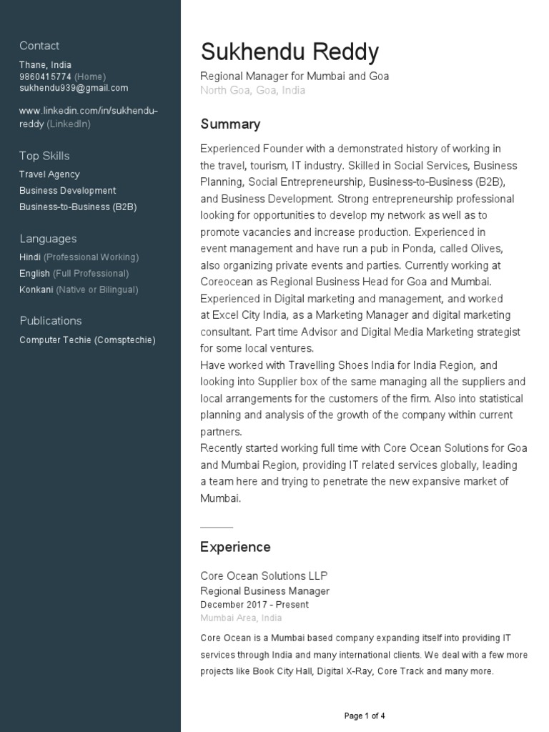 Sukhendu Reddy CV | PDF | Sales | Digital Marketing