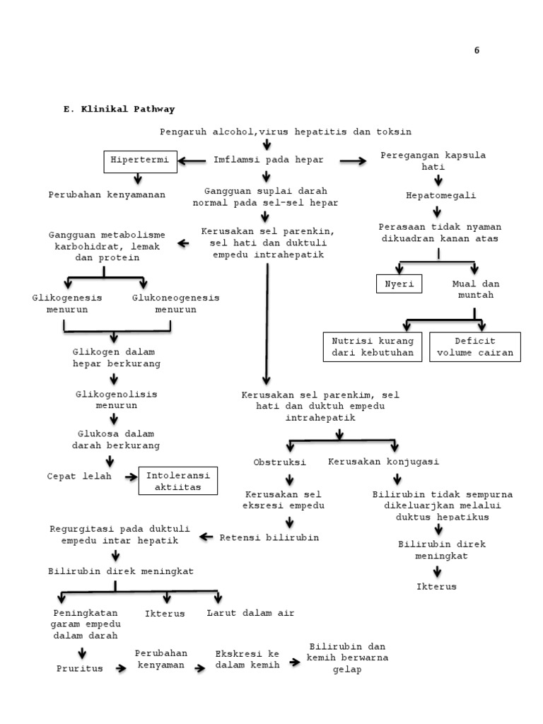 Klinikal Pathway Hepatitis | PDF