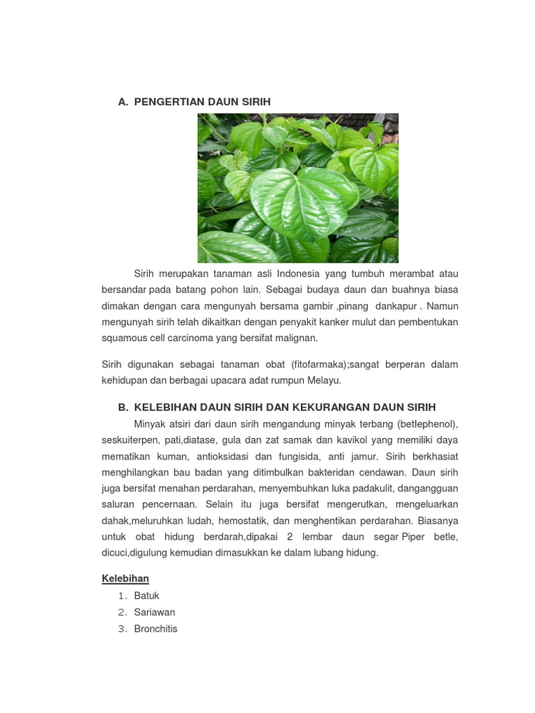 Daun Sirih | PDF