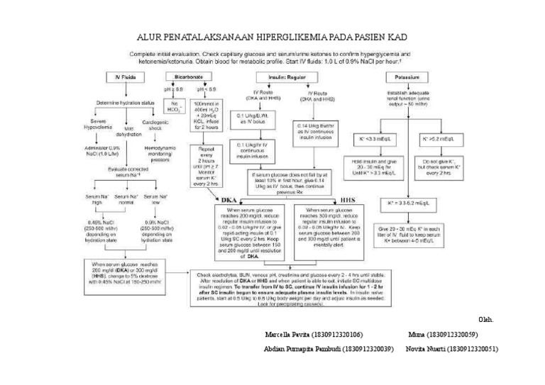 Alur Penatalaksanaan Hiperglikemia Pada Pasien Kad | PDF