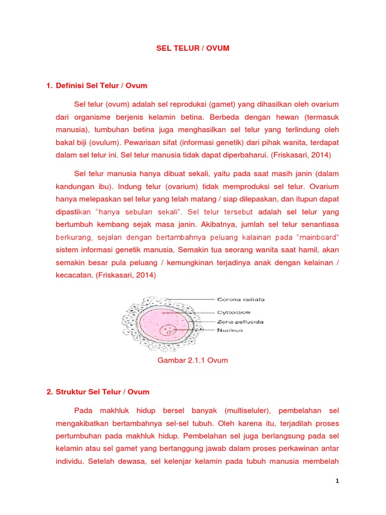 MEKANISME PEMBENTUKAN DAN PENGELUARAN SEL TELUR | PDF