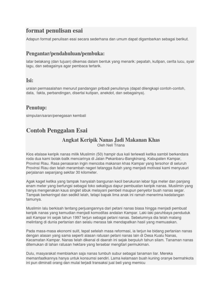 Contoh Essay | PDF
