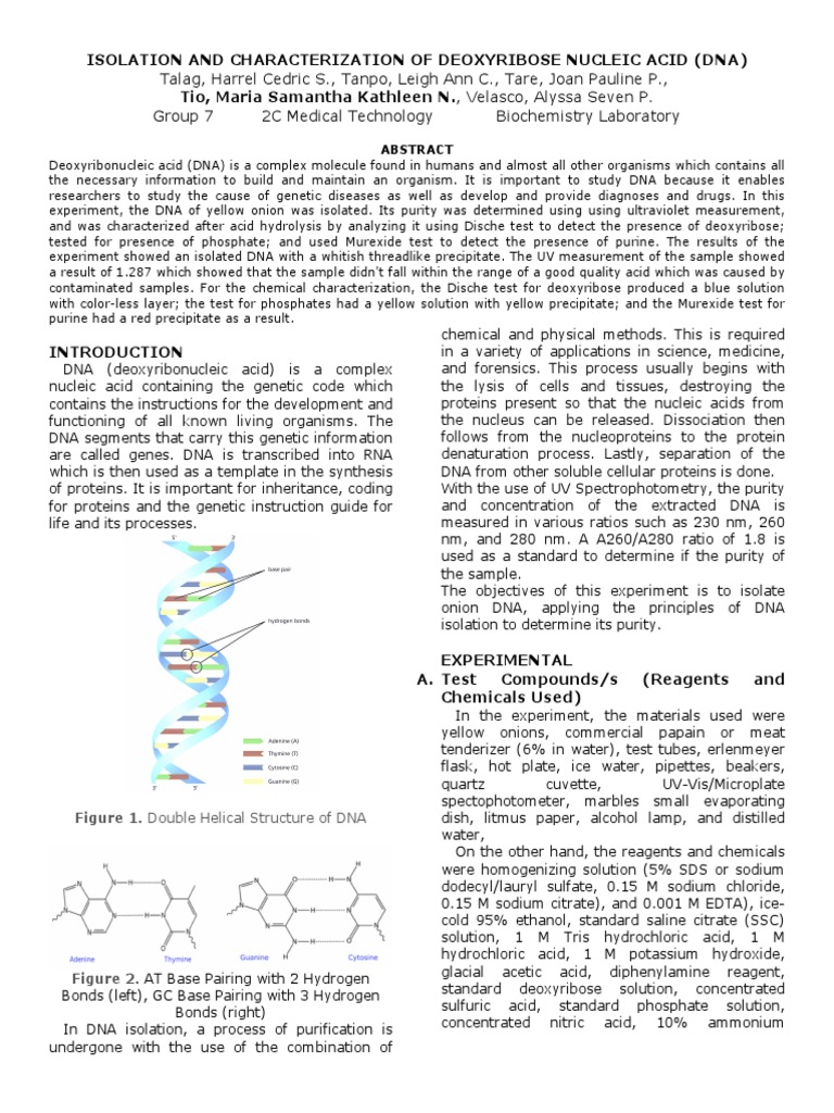 Dna Formal Report PDF | PDF | Chemistry | Physical Sciences