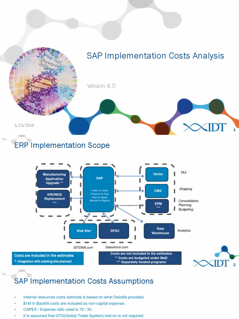 ERP Implementation Cost Analysis - SAP v6 | PDF | Capital Expenditure ...