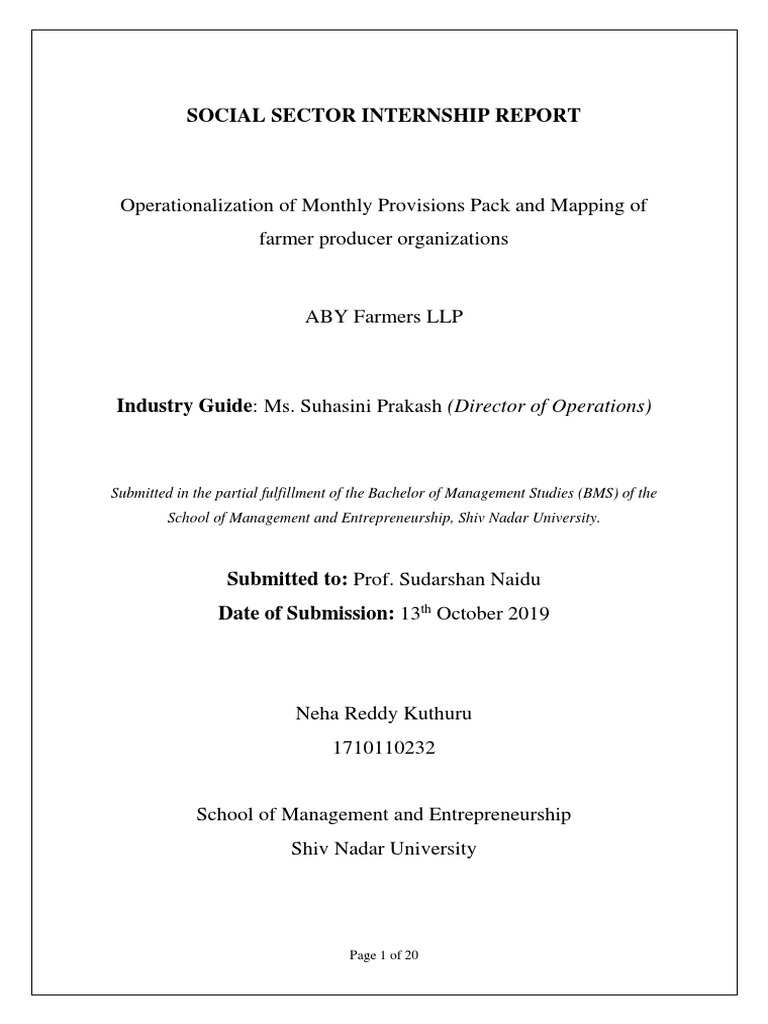 Internship Report | PDF | Target Audience | Retail