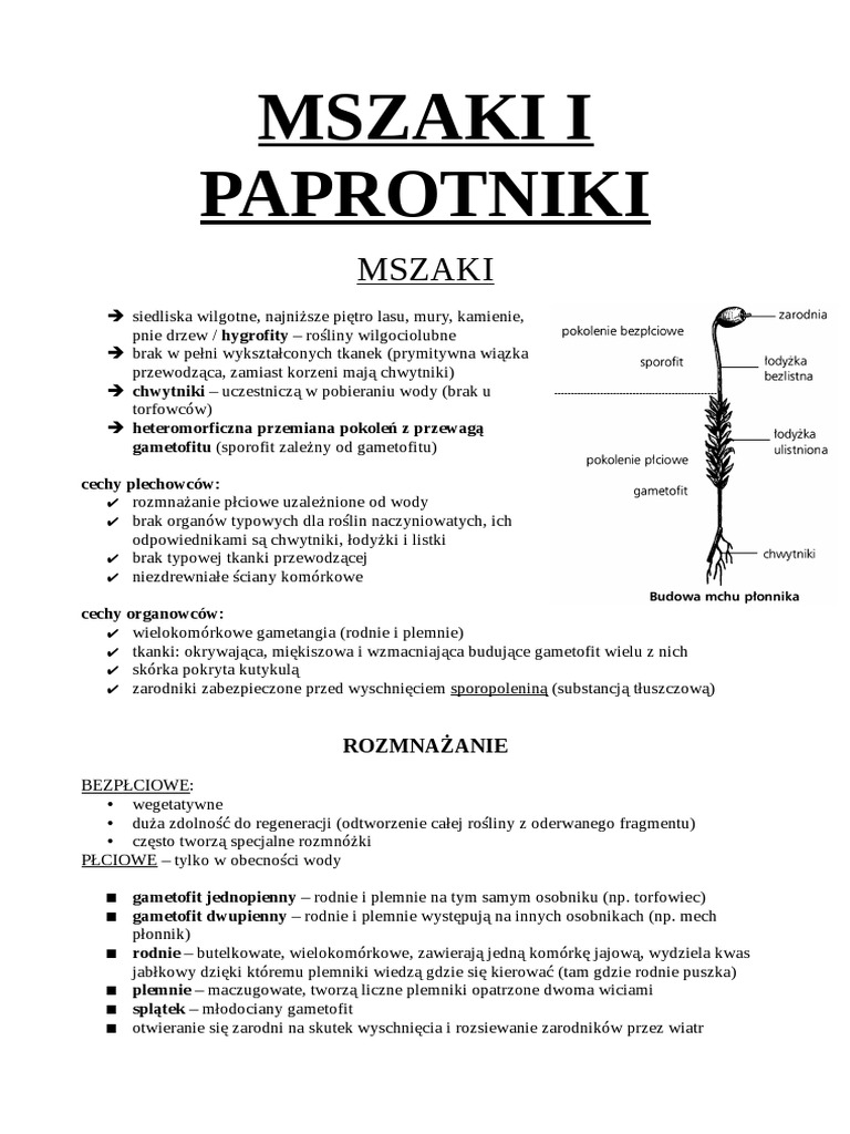Mszaki I Paprotniki W | PDF