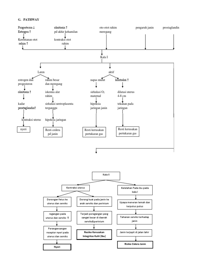 PATHWAY Persalinan | PDF