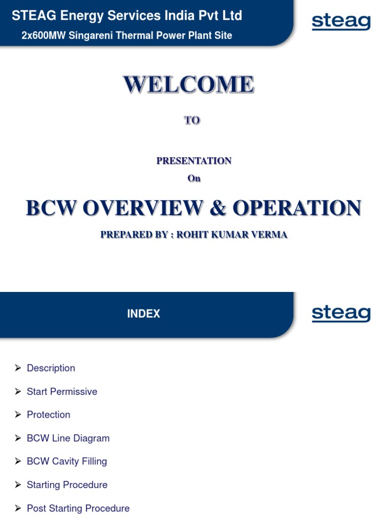 BCW | PDF | Pump | Valve