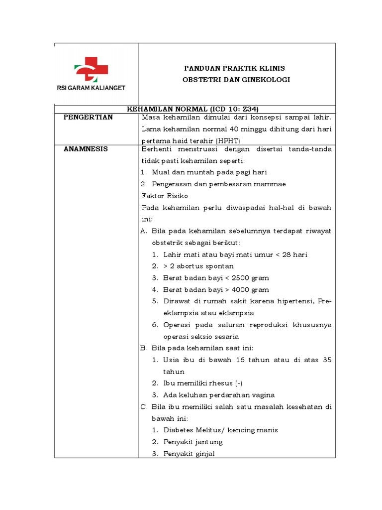 PPK Kehamilan Normal Fix | PDF
