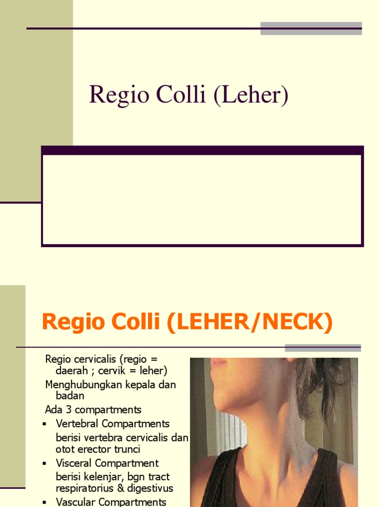 KP 3.3 Regio Colli (Leher) - 2 | PDF