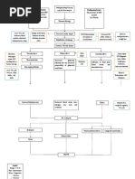 Pathophysiology of ALL (Diagram) | PDF | Medical Specialties | Clinical ...