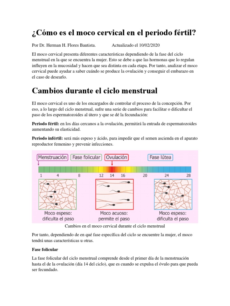 Cómo Es El Moco Cervical en El Periodo Fértil | PDF | Ciclo menstrual ...
